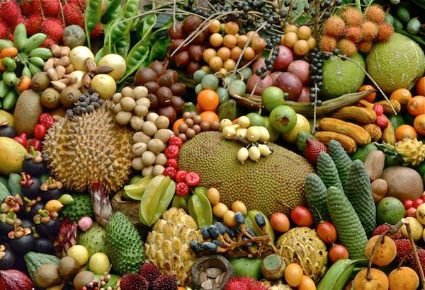 Tropic’s tips for better living in 2017: Part II