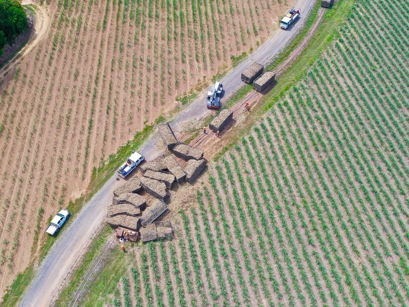 Cane train derailment adds to MSF Sugar’s horror year